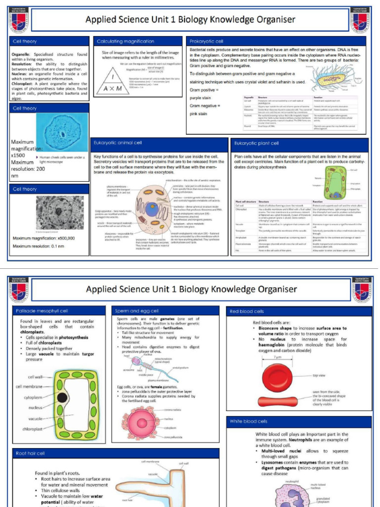 Applied Science Unit 1 Biology Knowledge Organiser | PDF