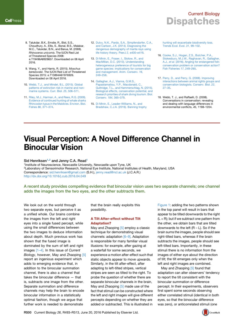 Visual Perception A Novel Difference Channel in Binocula 2016 Current ...