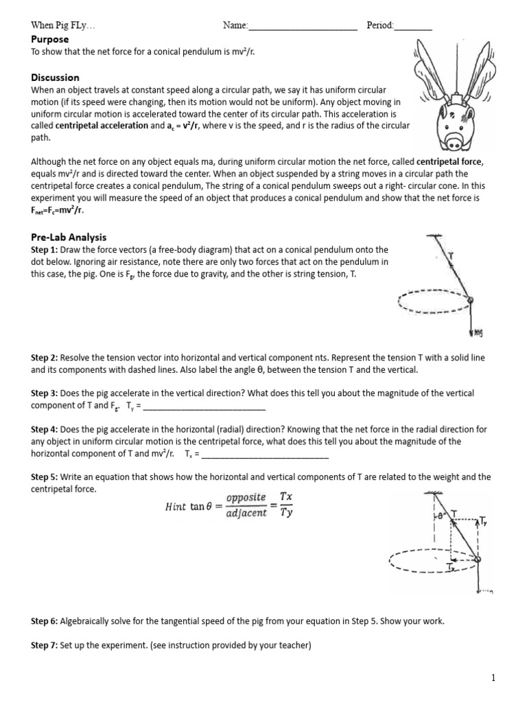 3 When pigs fly lab | PDF | Acceleration | Force