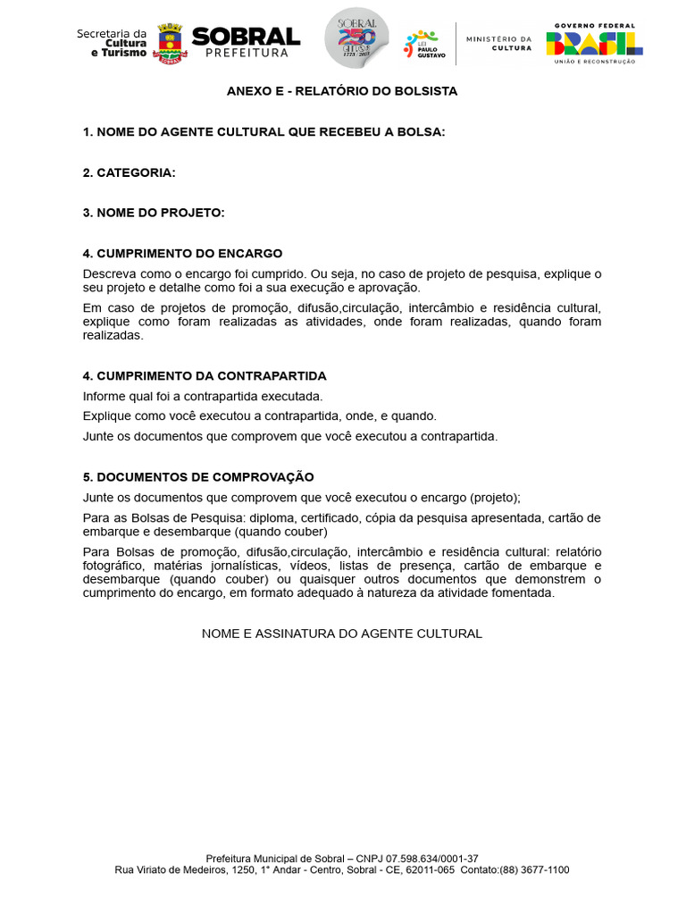 Anexo e Relatorio Do Bolsista | PDF