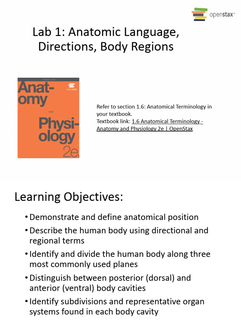 Screenshot 2025-10-14 at 12.50.11 PM | PDF | Anatomical Terms Of Location