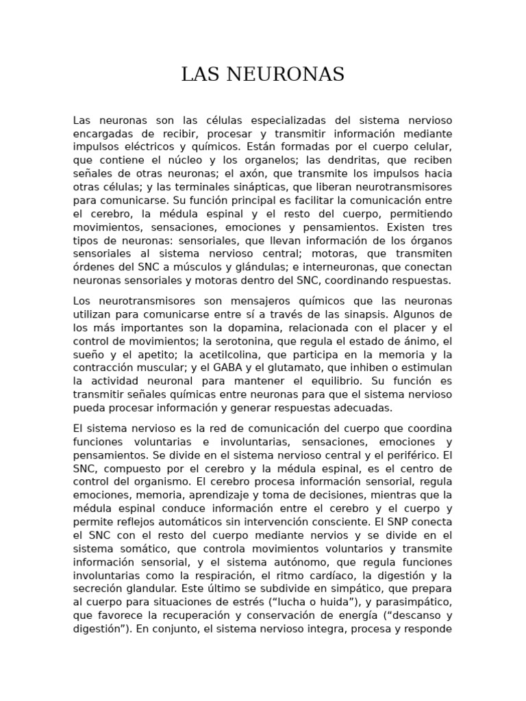 Funciones y tipos de neuronas en el SNC | PDF | Neurona | Sistema nervioso
