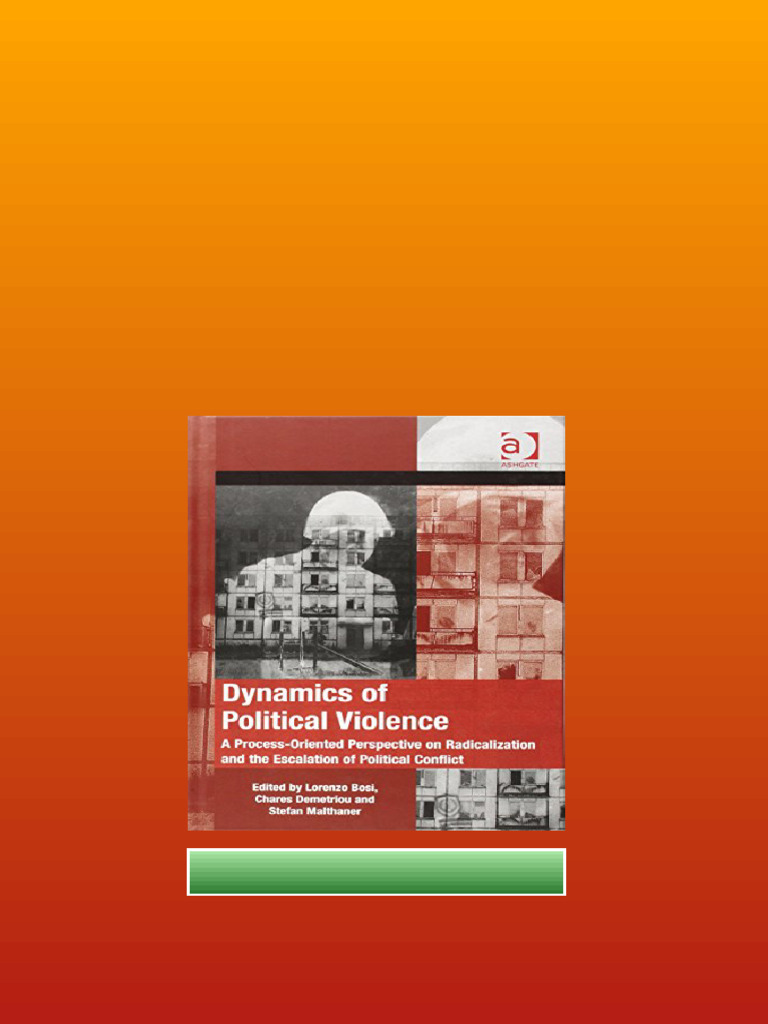Dynamics Of Political Violence A Processoriented Perspective On ...
