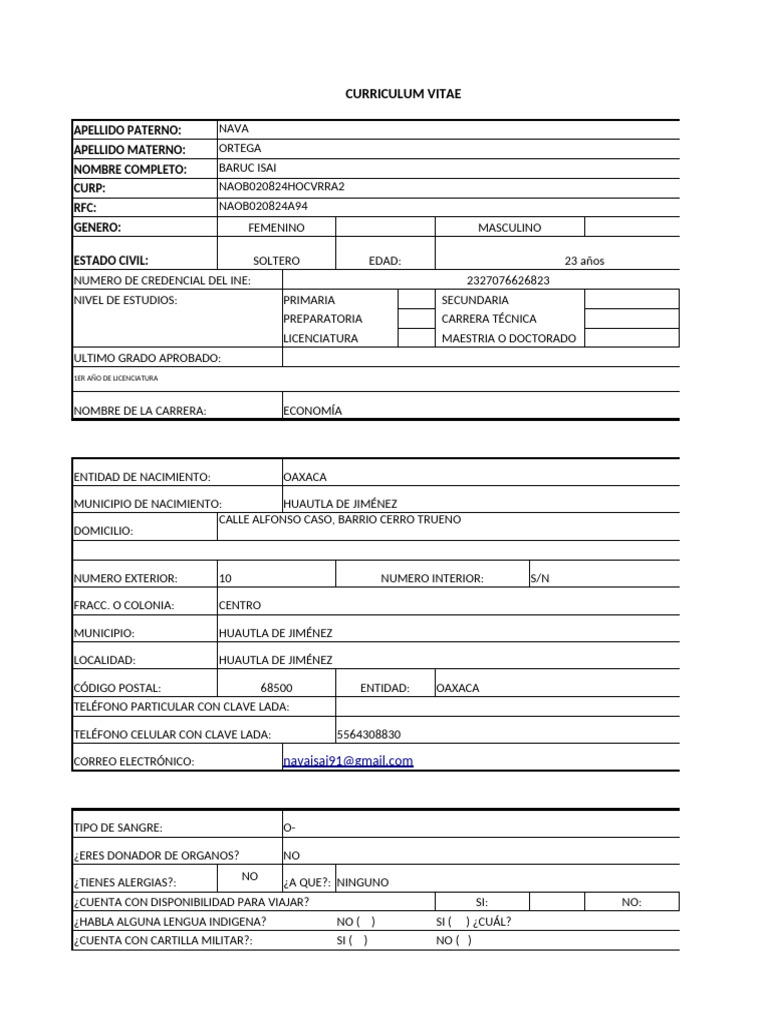 CV Excel Inegi Baruc | PDF