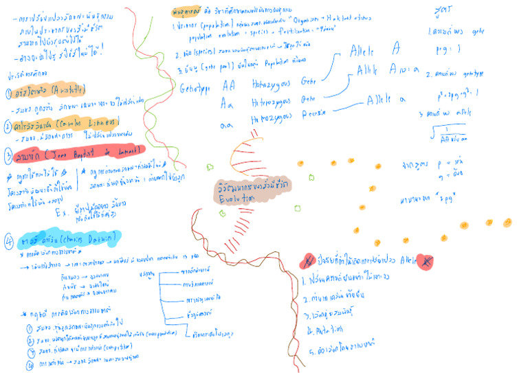 My Map 2 | PDF
