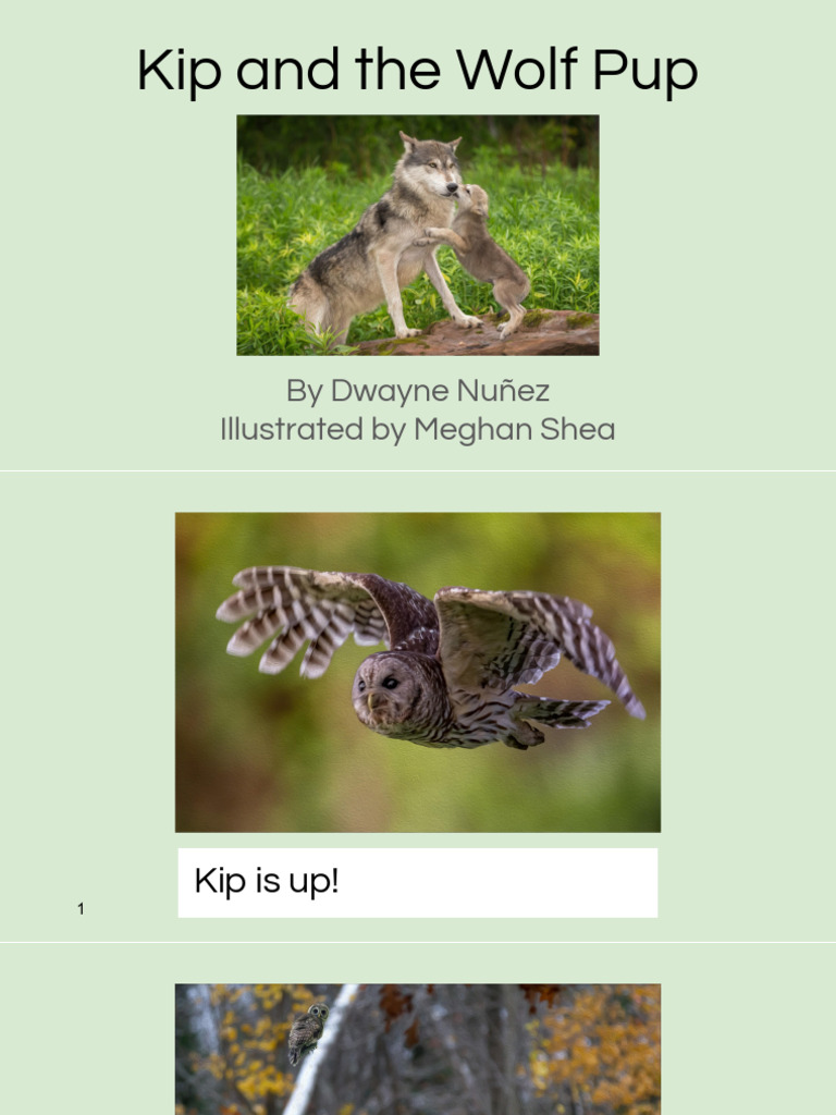 Kip and the Wolf Pup: A Learning Adventure | PDF