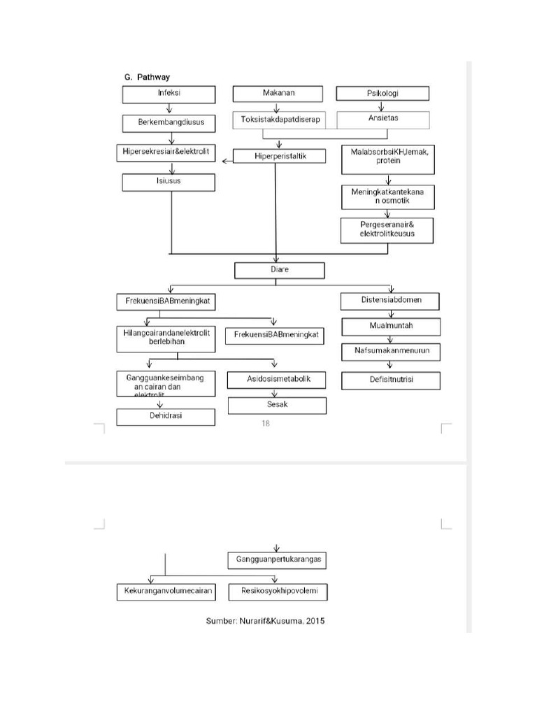 Patway Diare | PDF