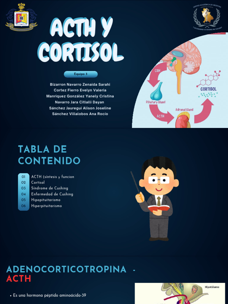 ACTH y Cortisol | PDF | Hormona adrenocorticotrópica | Cortisol