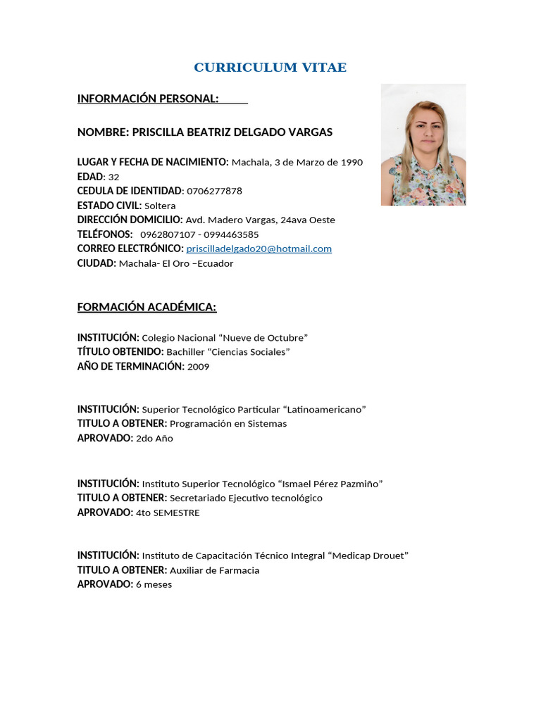 Curriculum Vitae 2024 | PDF