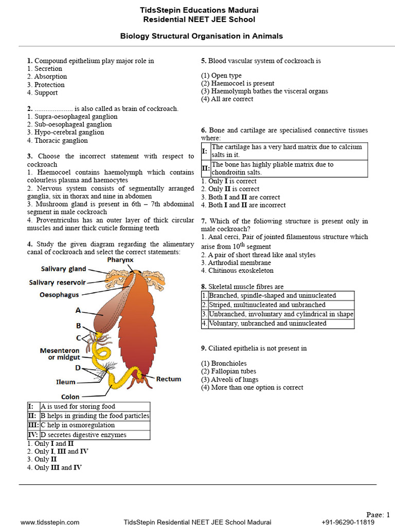 S7 Q BIO Structural Organisation in Animals | PDF | Epithelium | Muscle