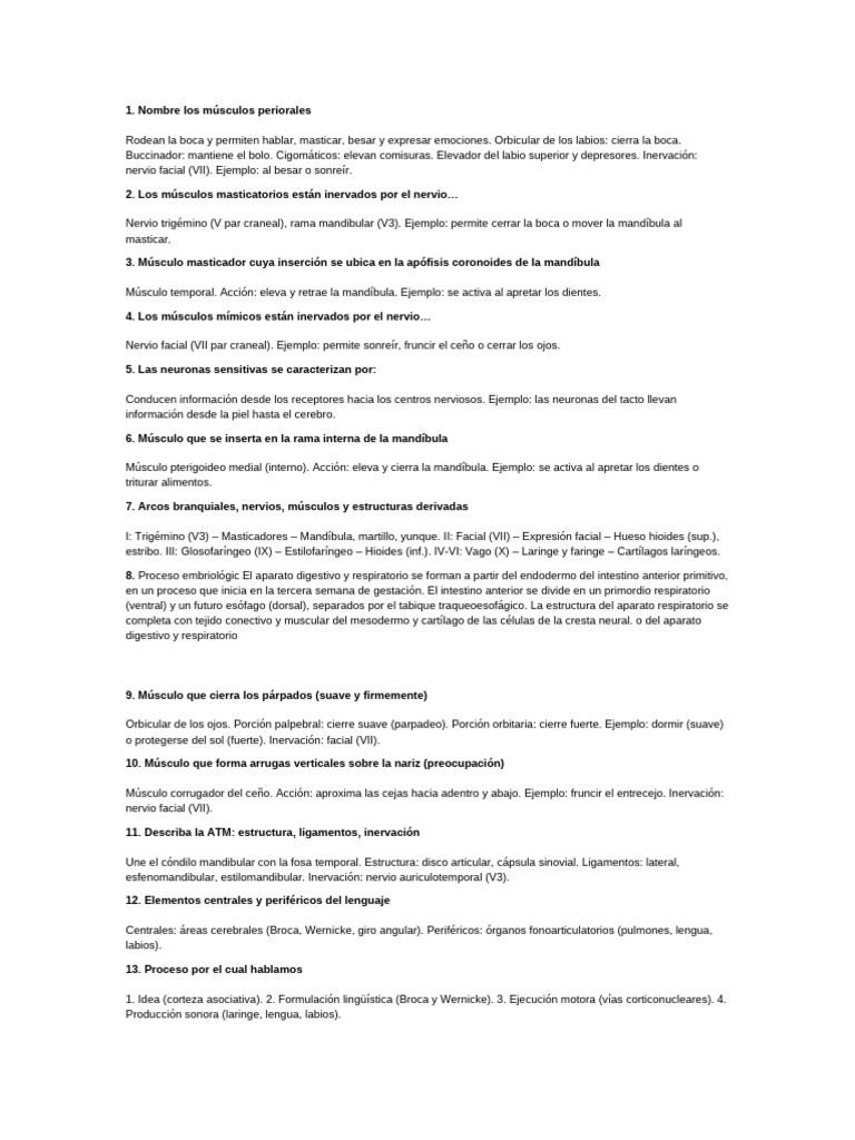 Músculos y Funciones Periorales y Masticatorios | PDF | Laringe | Gusto