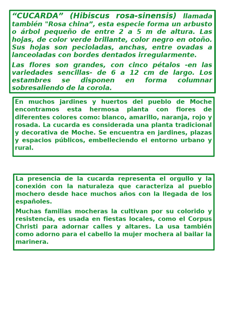 Importancia de la Cucarda en Moche | PDF
