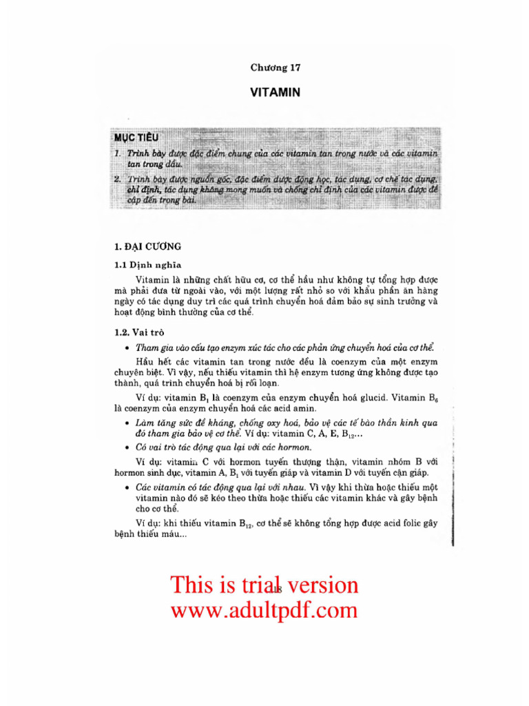 Vitamin: M C Tiêu | PDF