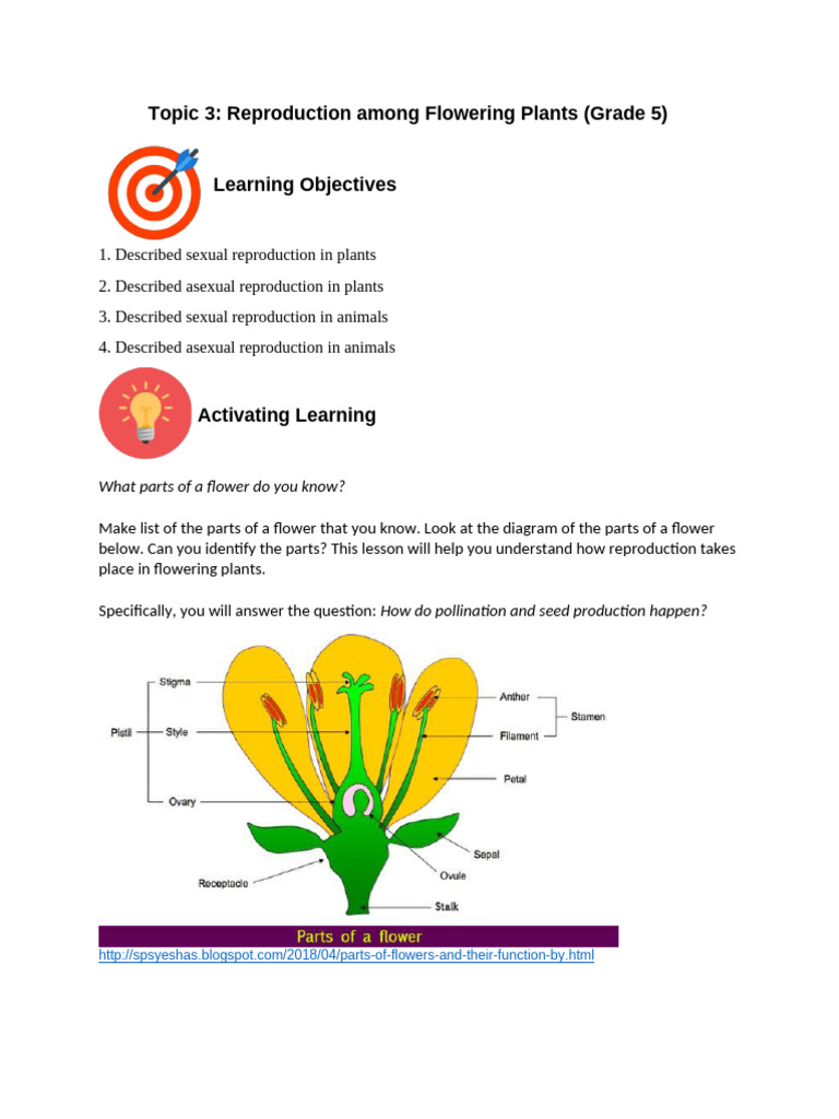 SCIENCE Part 2 Module 2 Lesson 3 Reproduction Among Flowering Plants | PDF | Plants | Seed