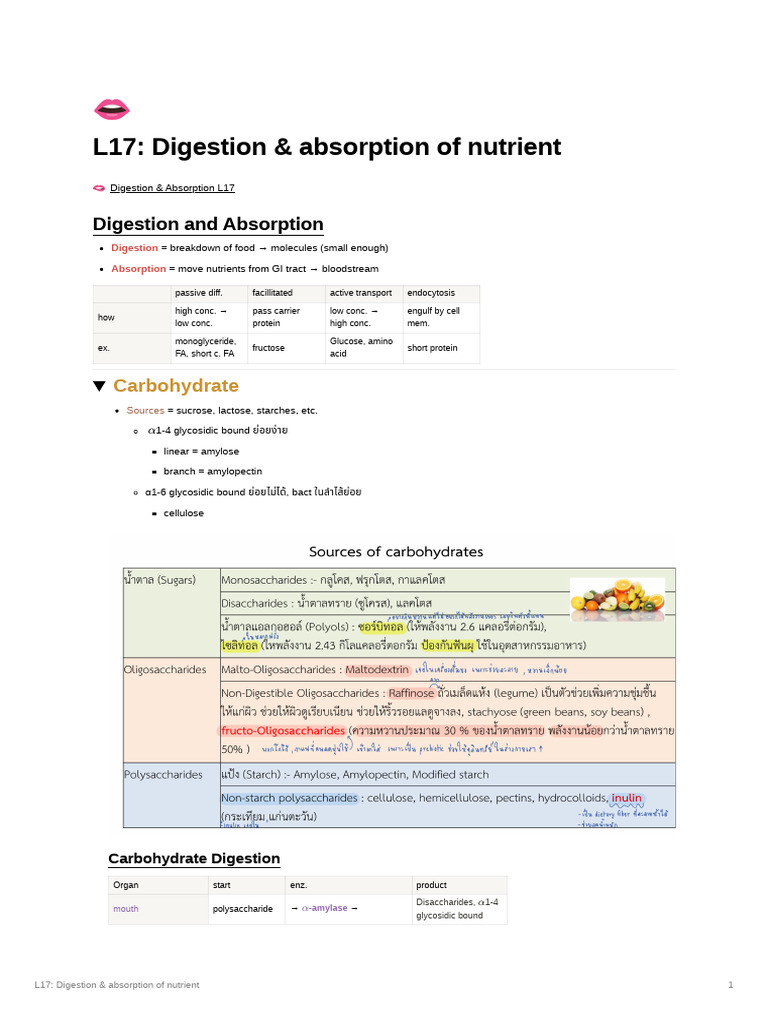 L17 Digestion & Absorption of Nutrient | PDF
