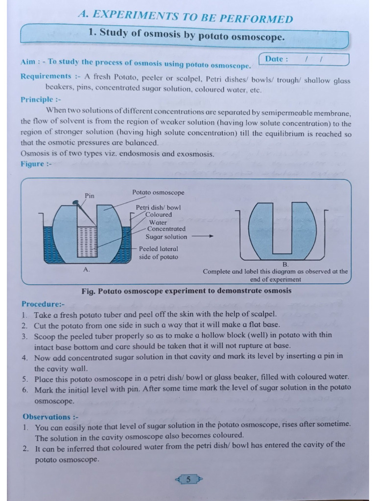 Biology SYJC Practical Notebook Answers | PDF