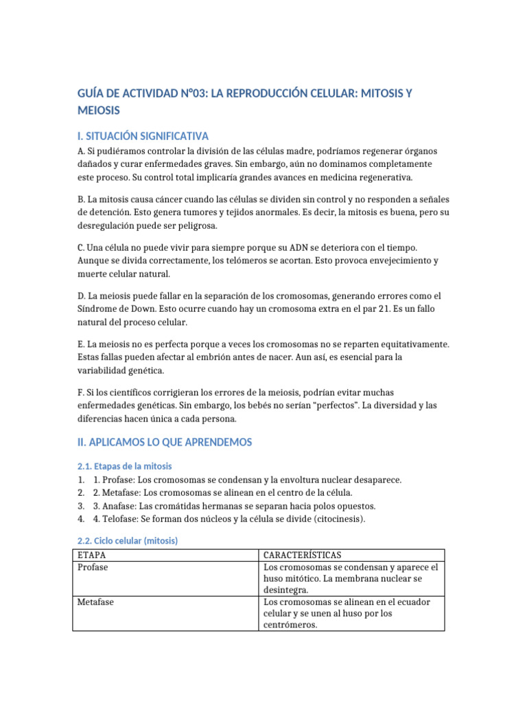 Guía Mitosis y Meiosis Resuelta | PDF | Mitosis | Mitosis