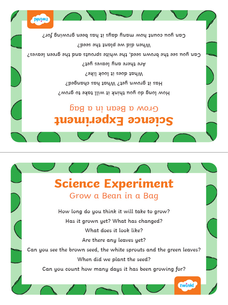 Grow A Bean in A Bag EYFS Science Experiment Prompt Card | PDF