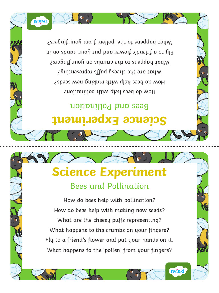 Bees and Pollination Prompt Card | PDF
