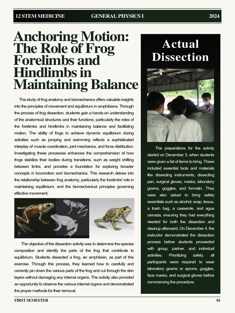 Physics Froggy Narrative Report | PDF | Kinematics | Frog