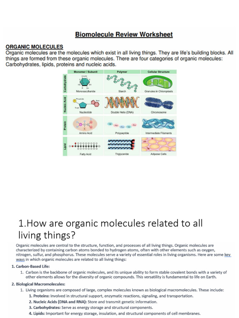 Organic Molecules: Building Blocks of Life | PDF | Carbohydrates ...
