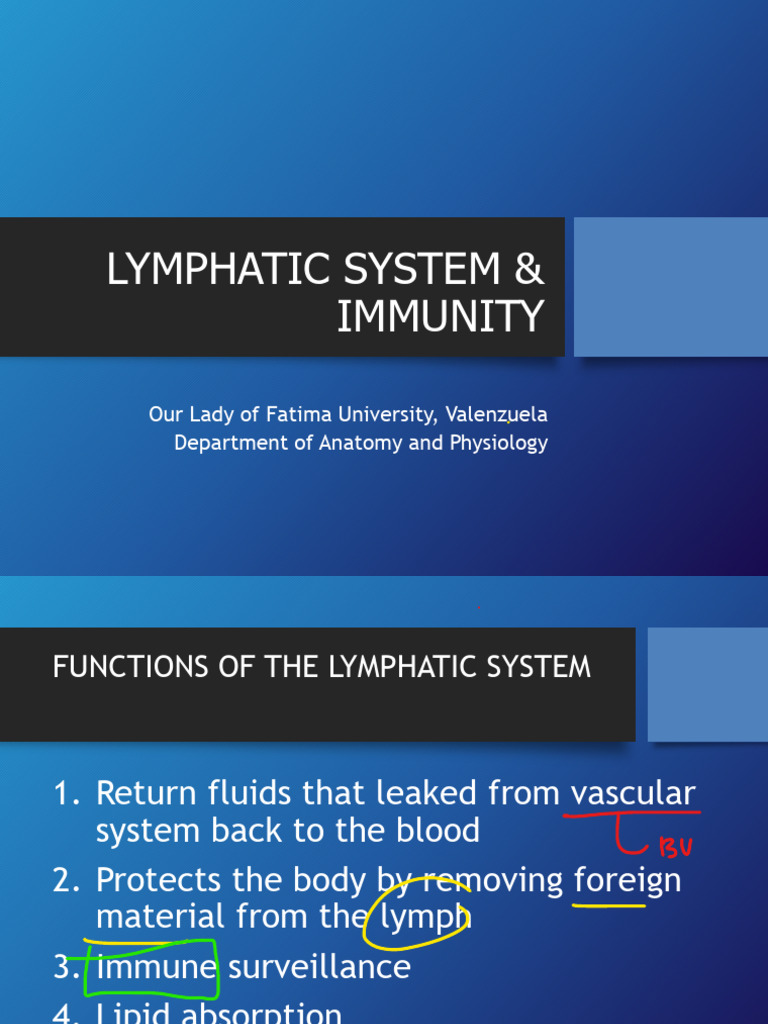 2025 Lec - Lymphatic System and Immunity | PDF | Immune System ...