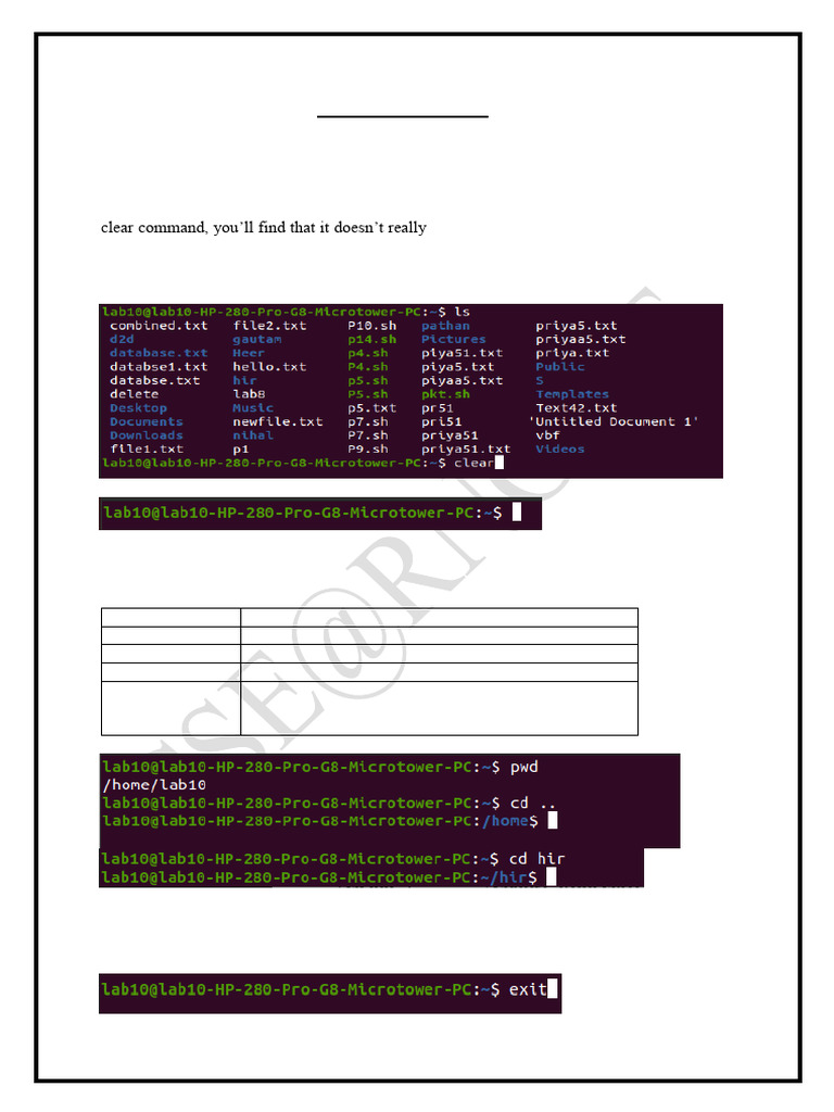 OS Final Prac2 49 | PDF | Computer File | Command Line Interface