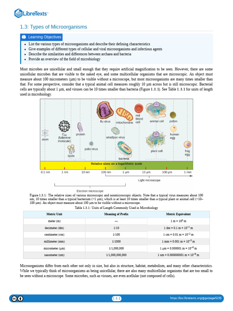 Types and Characteristics of Microorganisms | PDF | Bacteria ...