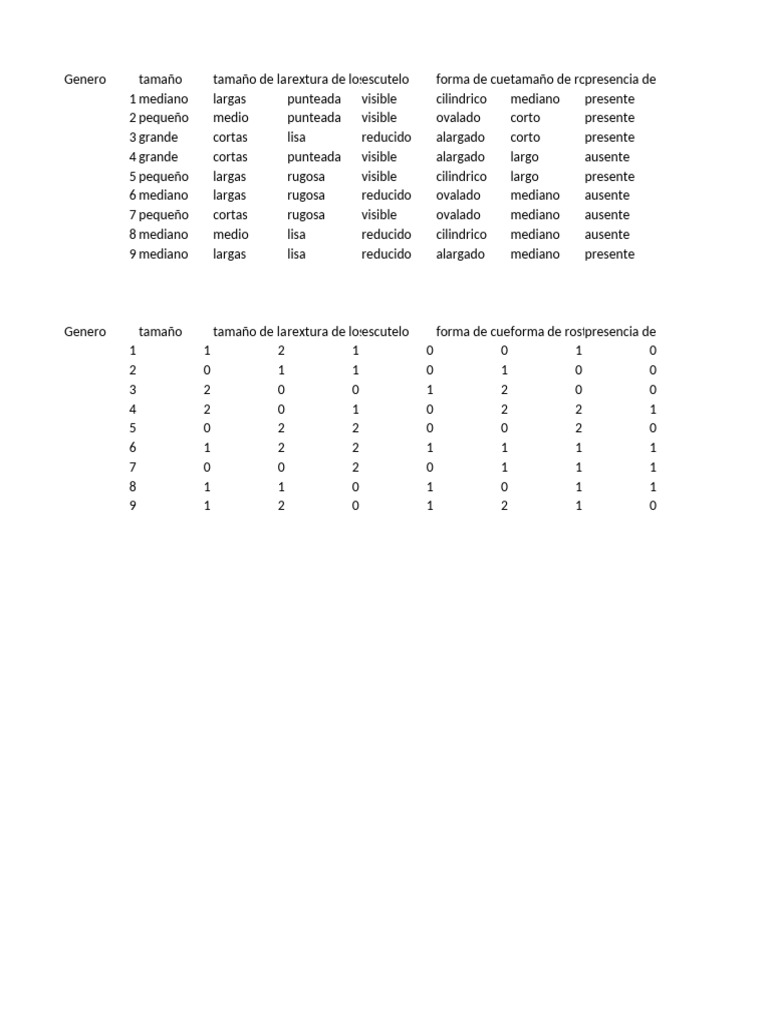 Matriz de caracteres | PDF