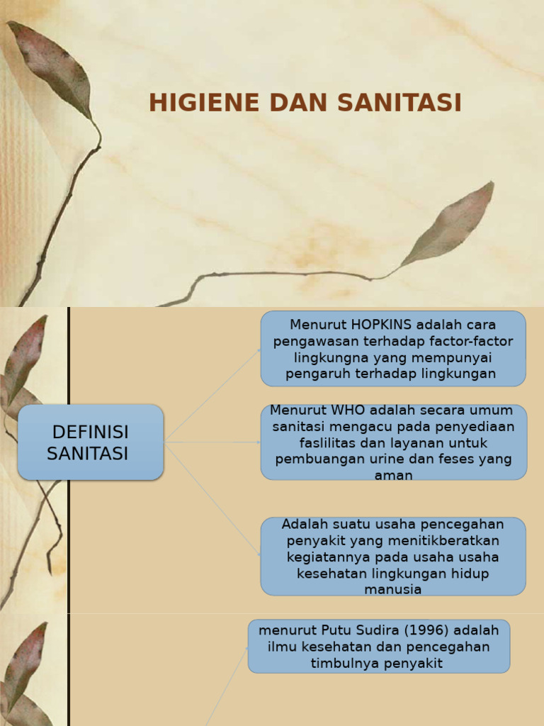 Higiene Dan Sanitasi | PDF