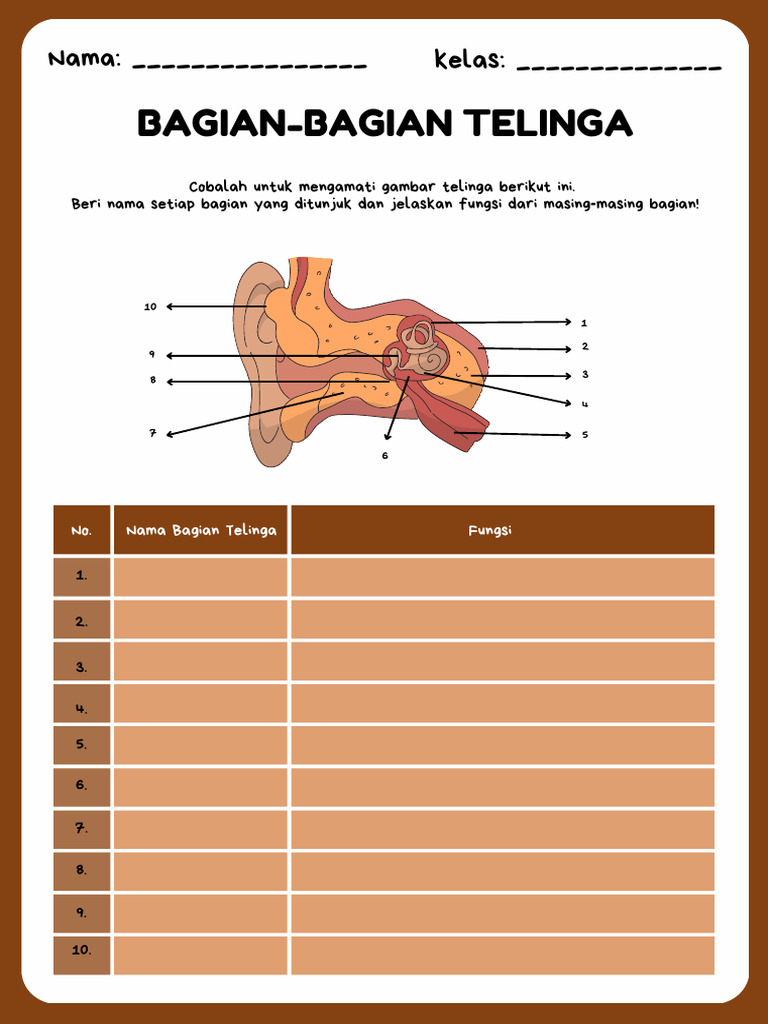 LKSP BAGIAN TELINGA | PDF
