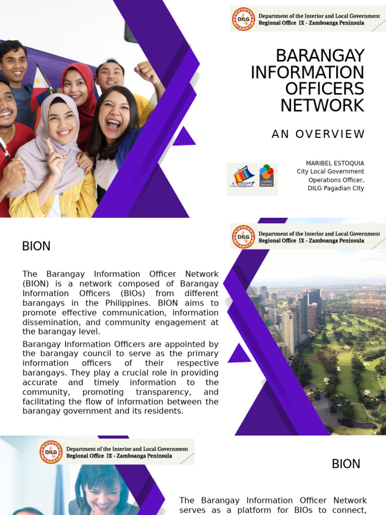 Overview of Barangay Information Network | PDF | Capacity Building ...