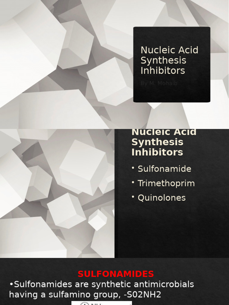 Nucleic Acid Synthesis Inhibitors Overview | PDF | Medical Specialties