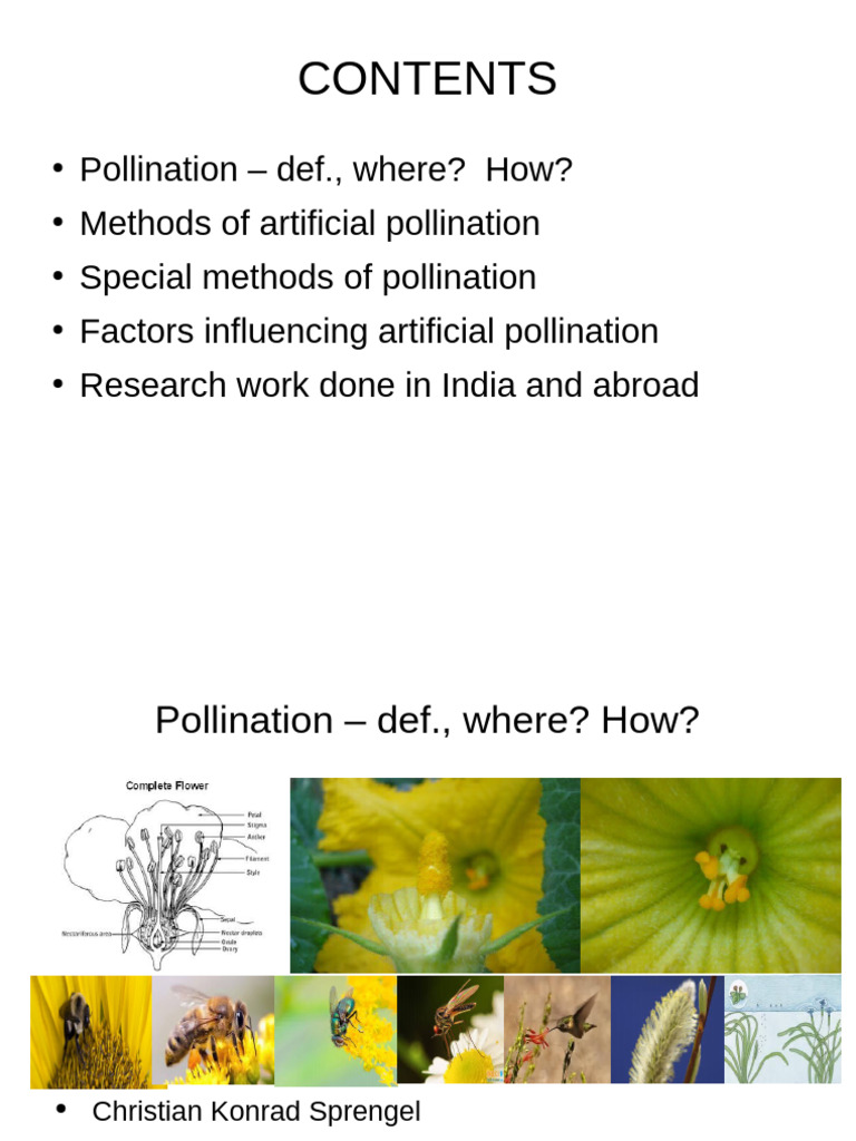 Artificial Pollination Techniques Explained | PDF | Pollination | Pollen