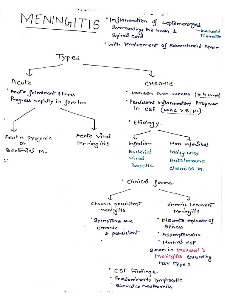 CNS Micro | PDF