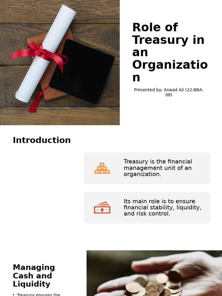 Role of Treasury | PDF