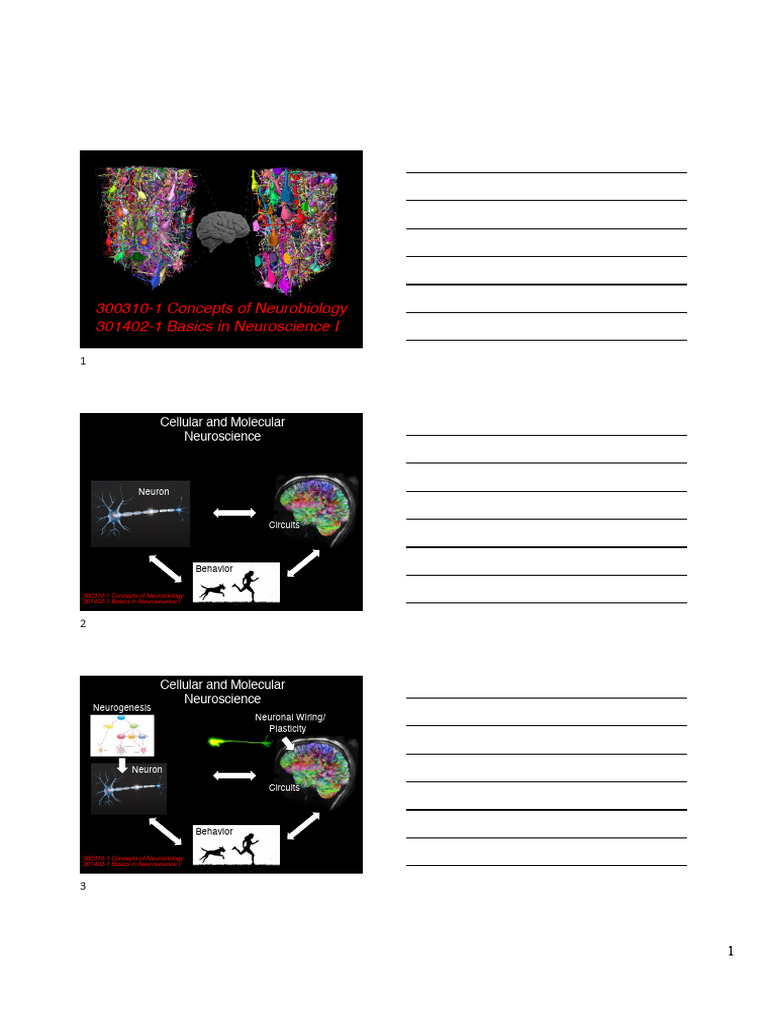 Basic Concepts | PDF | Neuroscience | Neuron