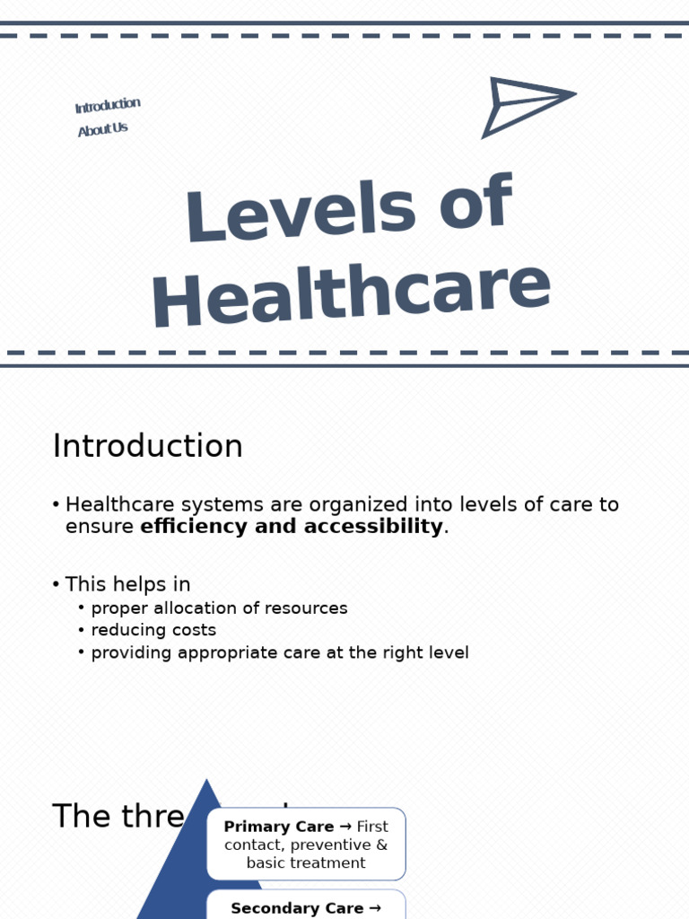 Understanding Healthcare Levels Explained | PDF | Health Care | Primary ...