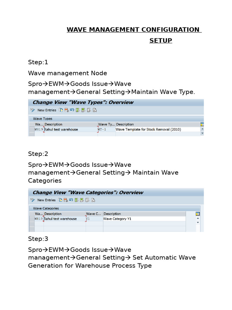 Wave Management Setup in SAP EWM | PDF