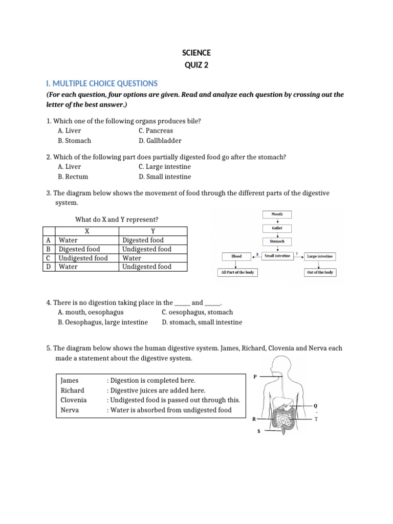 Science QUIZ 2 | PDF | Digestion | Foods