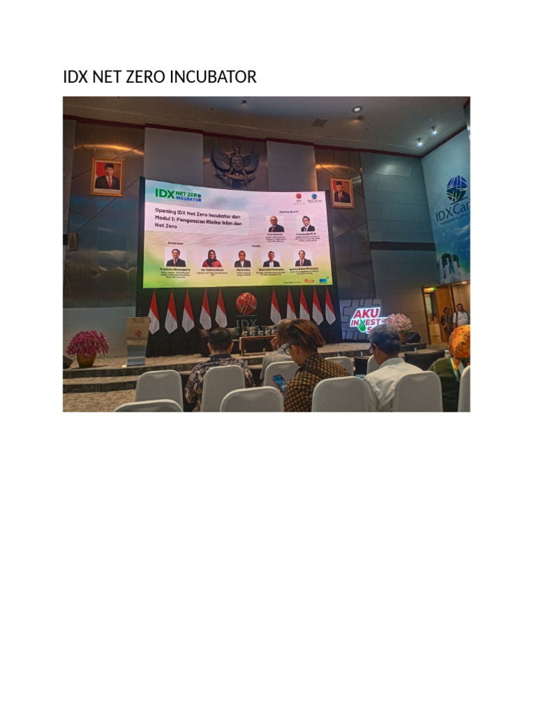 Idx Net Zero Incubator Summary | PDF