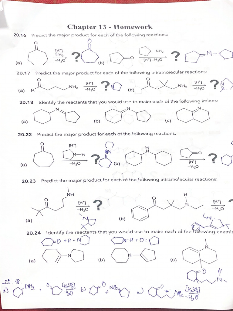 Chapter 13 - Homework | PDF