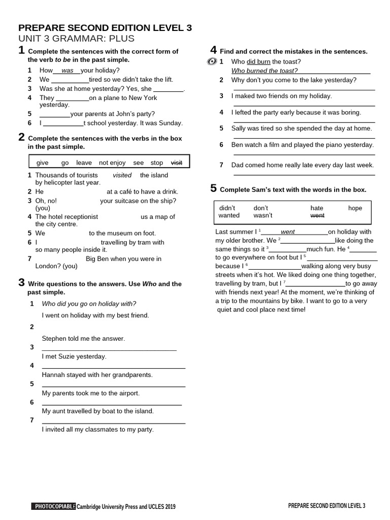 Past Simple Grammar Exercises | PDF | Grammar | Linguistics