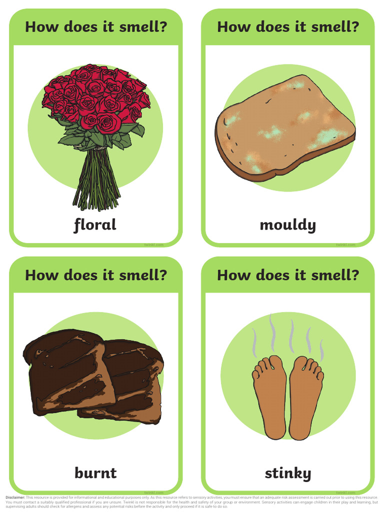 T TP 1682333306 Smell Sensory Flashcards Ver 2 | PDF
