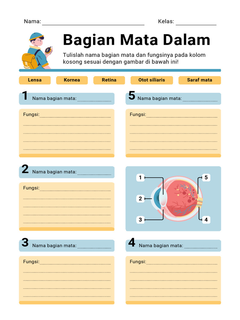Bagian Mata Dalam Lembar Kerja Pendidikan IPAS Kuning Biru Ilustrasi | PDF