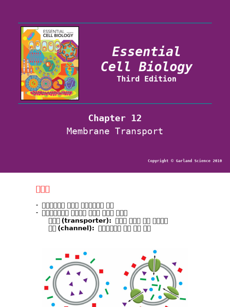 Alberts Chapter 12 Membrane Transport | PDF