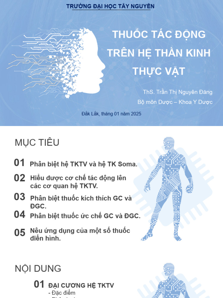 Thuoc Tac Dong Len He TKTV - Y3 | PDF
