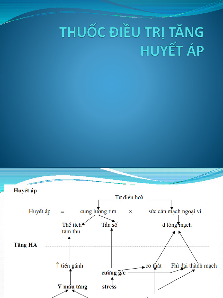 Thuoc Dieu Tri Tang Huyet AP-sv | PDF