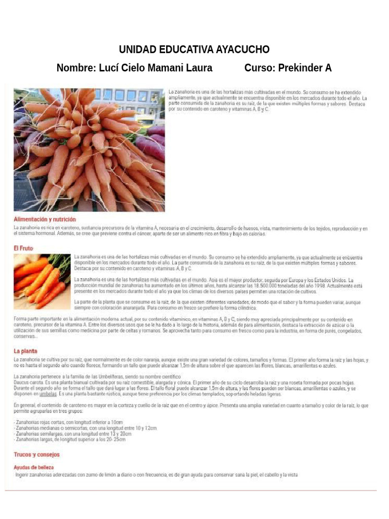 Unidad Educativa Ayacucho Nombre: Lucí Cielo Mamani Laura Curso ...