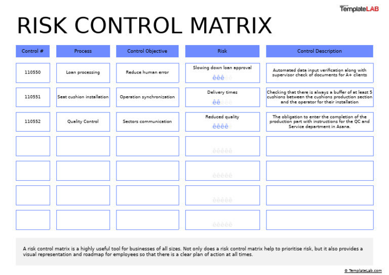 Risk Control Matrix Templat | PDF | Computer Science | Computer Engineering